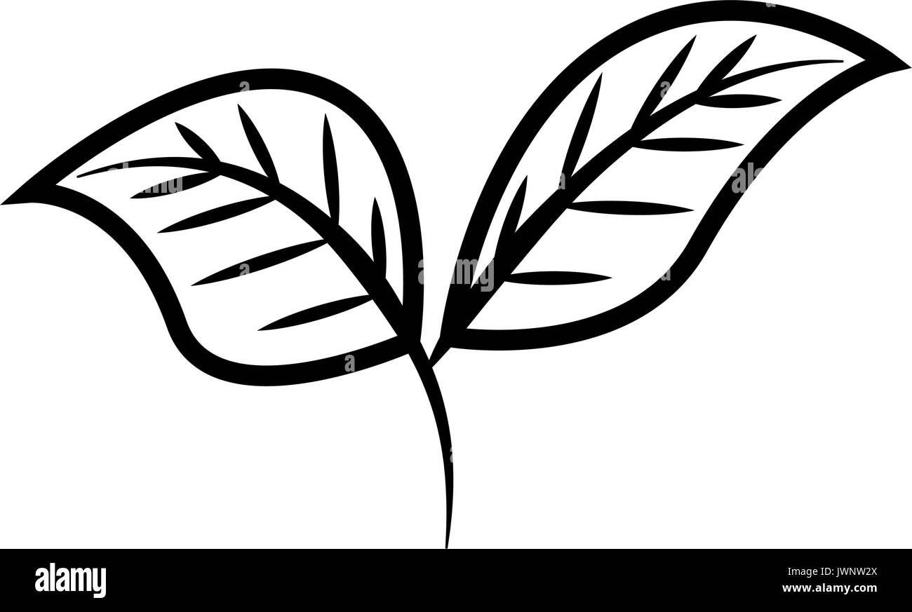 leaves icon over white background vector illustration Stock Vector ...