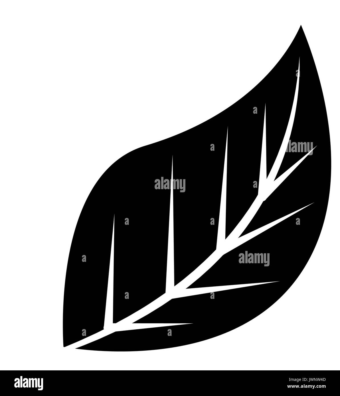 leaf icon over white background vector illustration Stock Vector Image ...