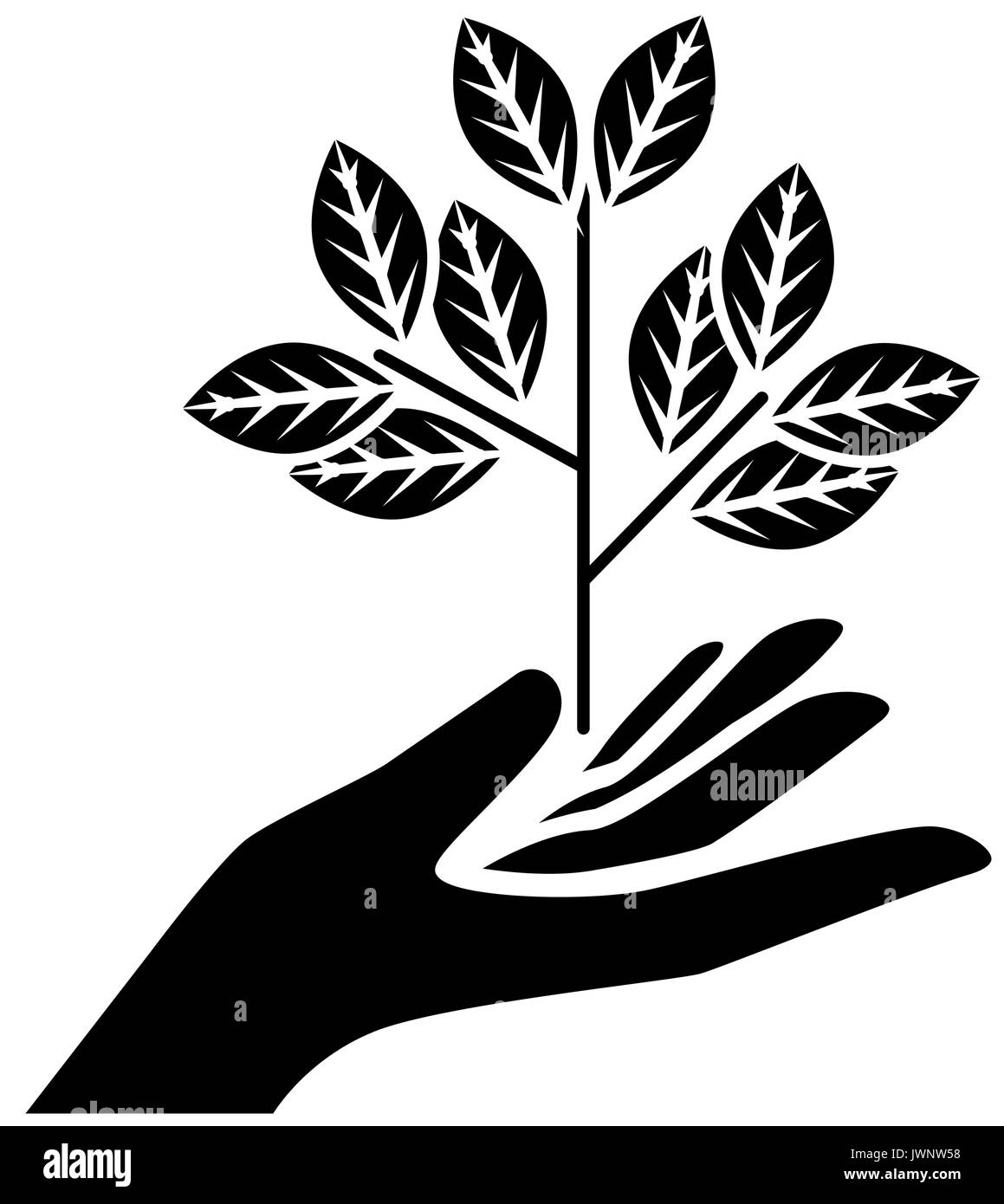 hand holding a plant icon over white background vector illustration ...