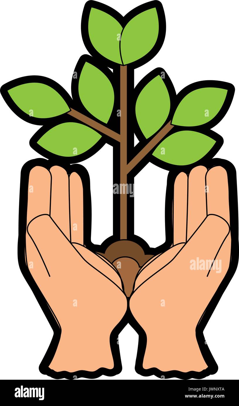 hand holding a plant icon over white background vector illustration ...