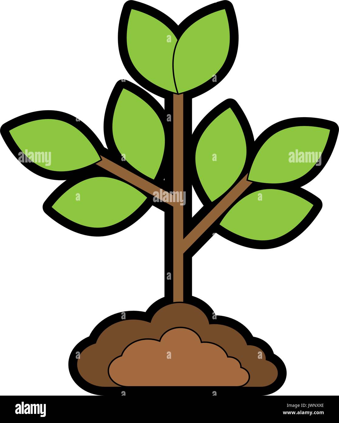 plant icon over white background colorful design vector illustration ...