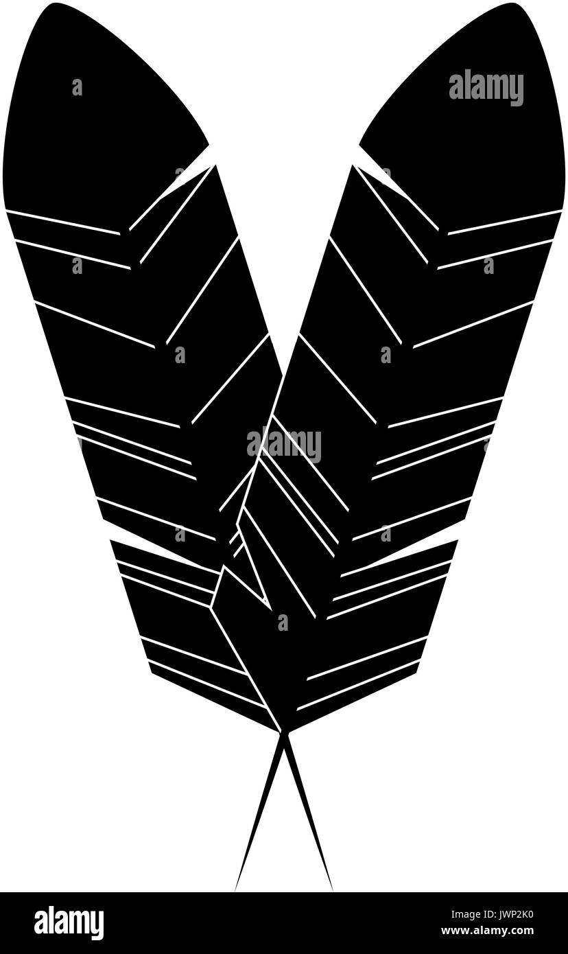 Bird feather symbol icon vector illustration graphic design Stock ...
