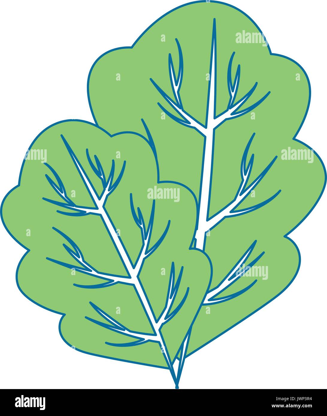 lettuce leaf icon over white background vector illustration Stock ...