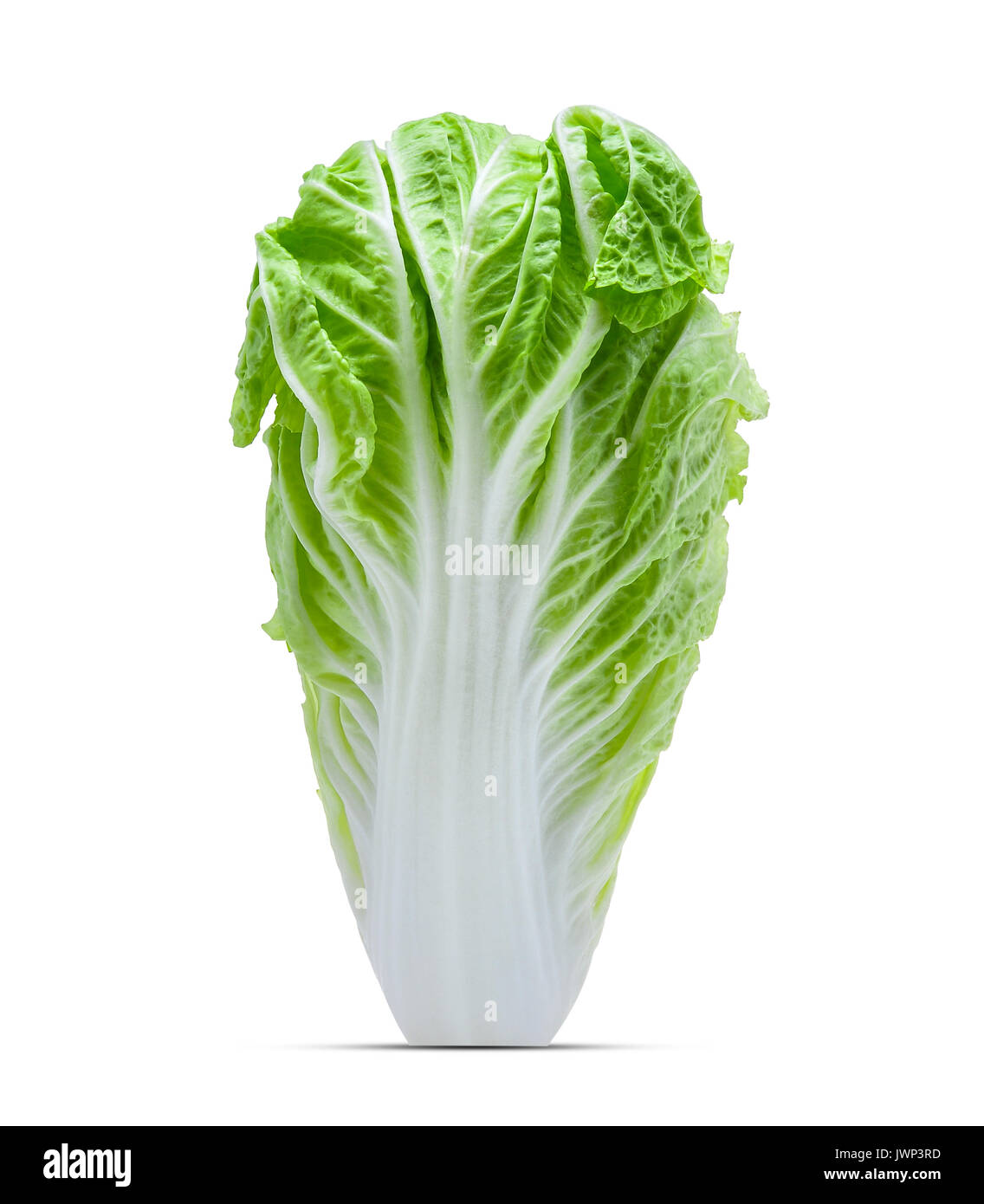 fresh chinese cabbage isolated on a white background Stock Photo - Alamy