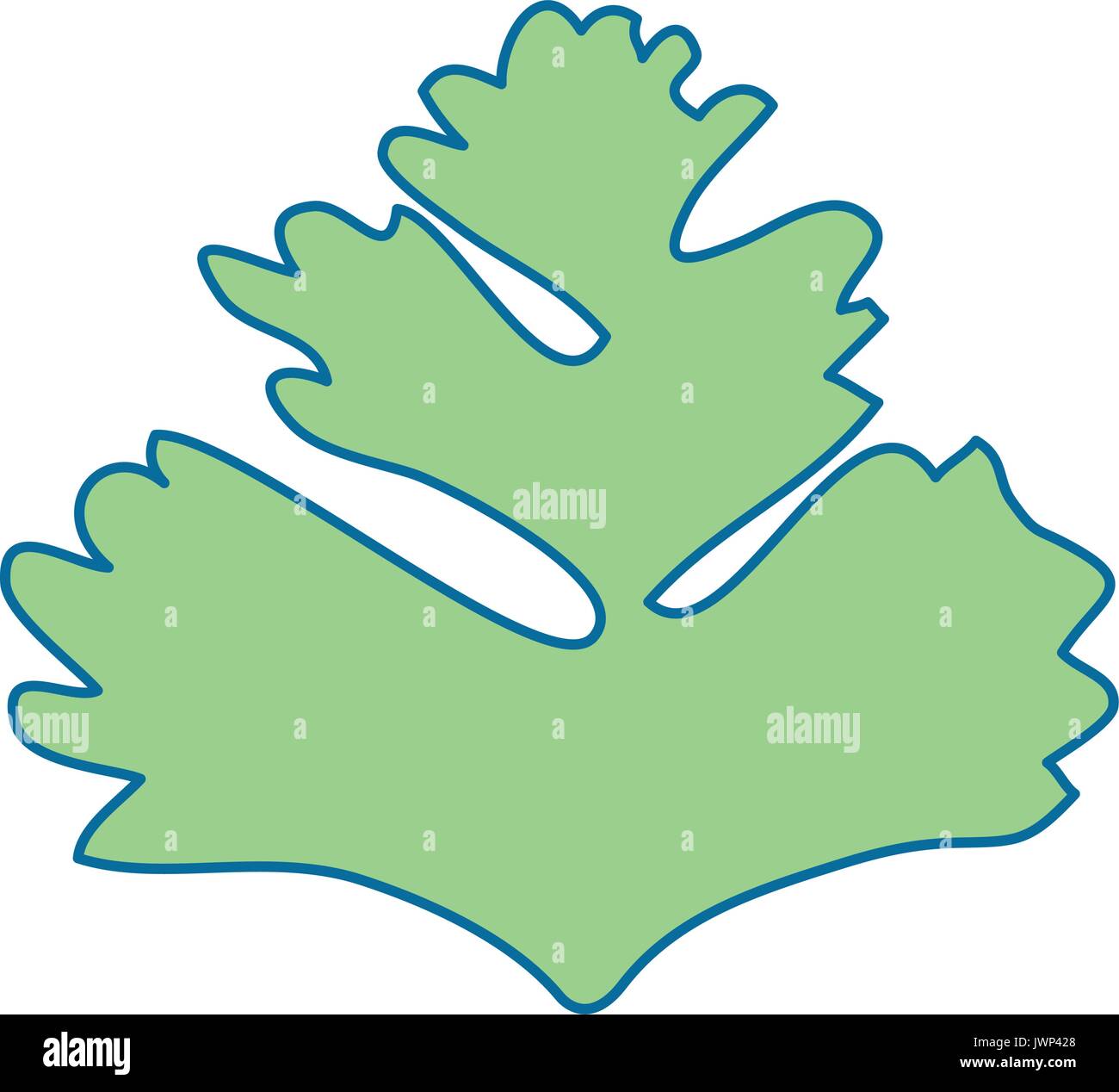 Coriander icon over white background vector illustration Stock Vector ...