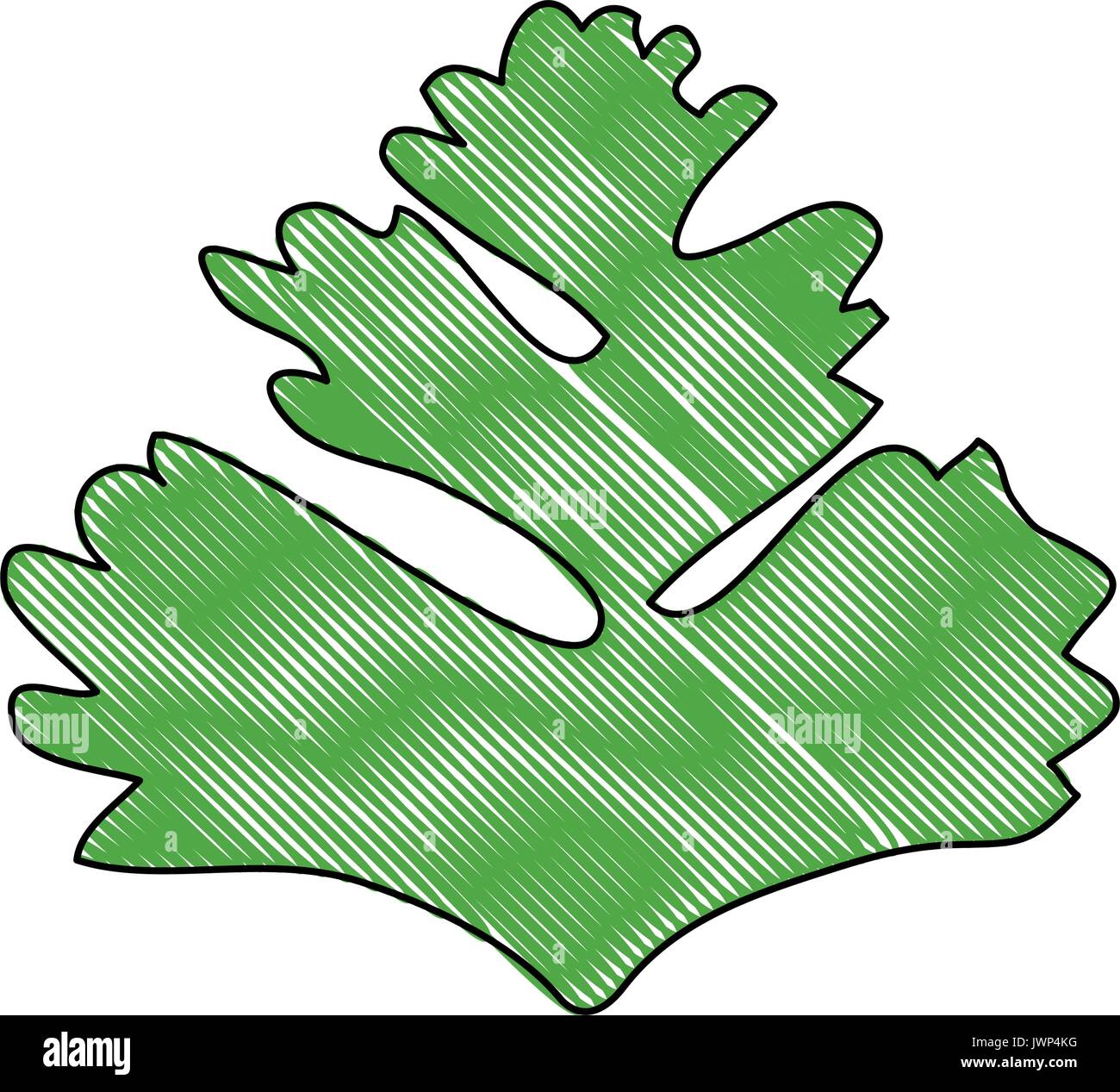 Coriander icon over white background vector illustration Stock Vector ...