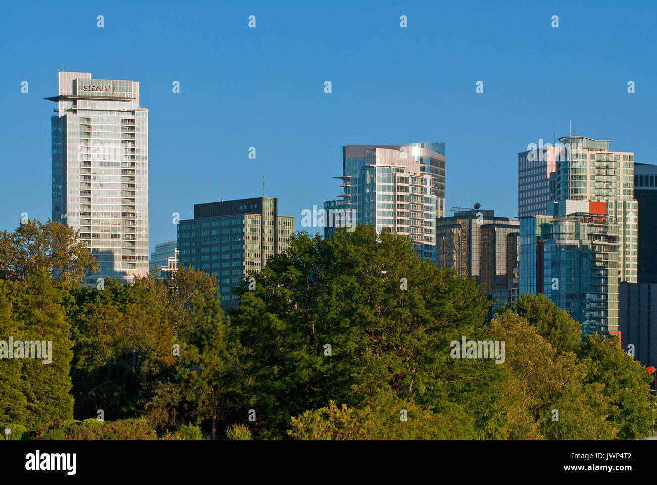 Skyscrapers behind tree hi-res stock photography and images - Alamy