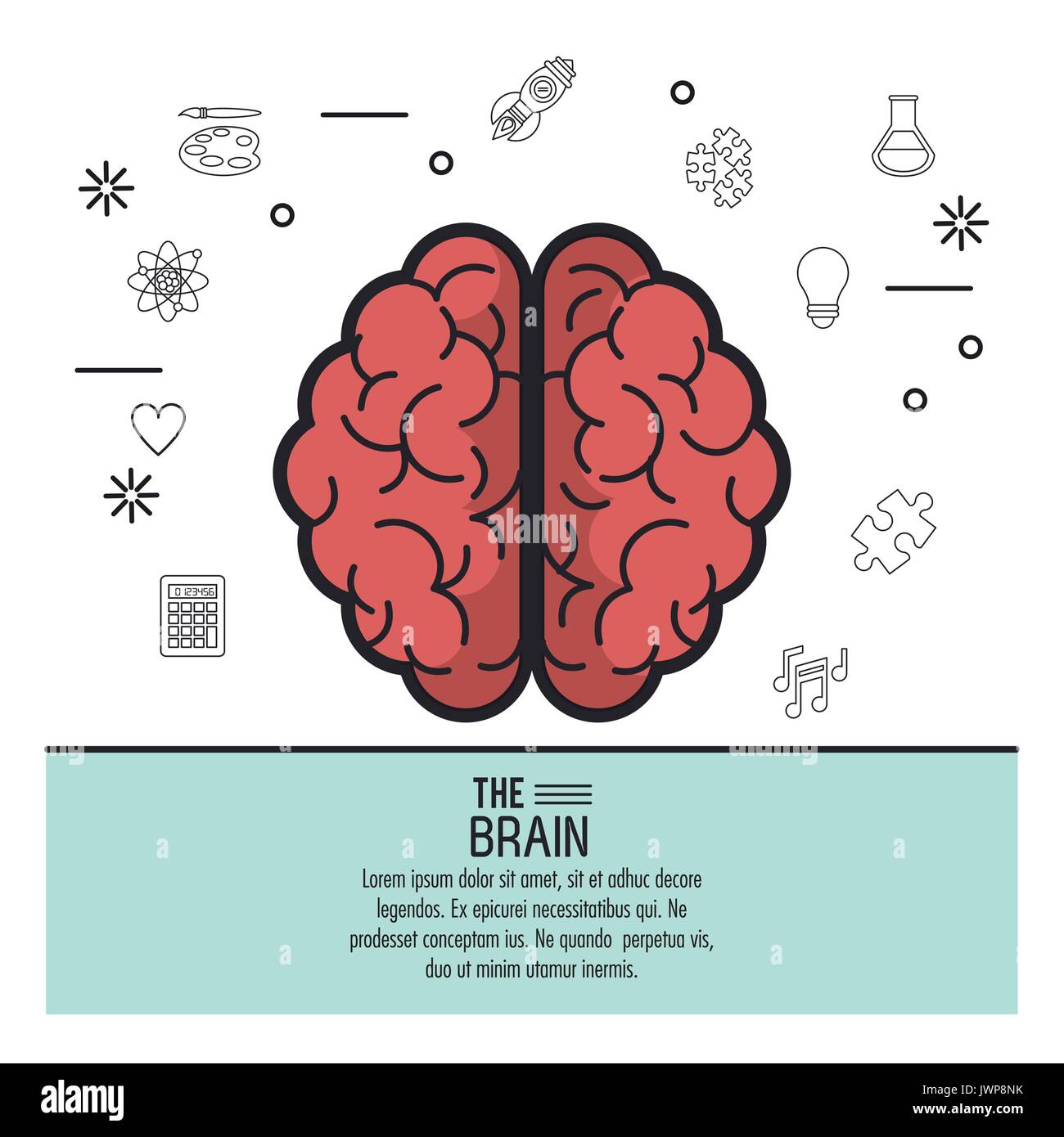 Two hemispheres brain illustration hi-res stock photography and images ...