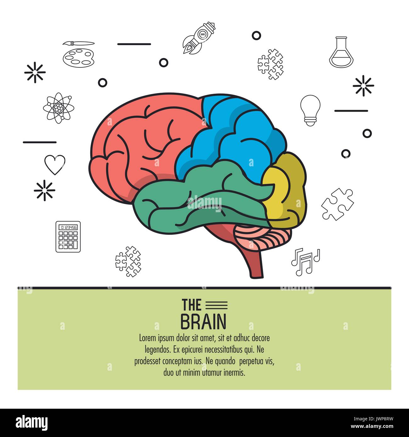 Brain Parts Poster