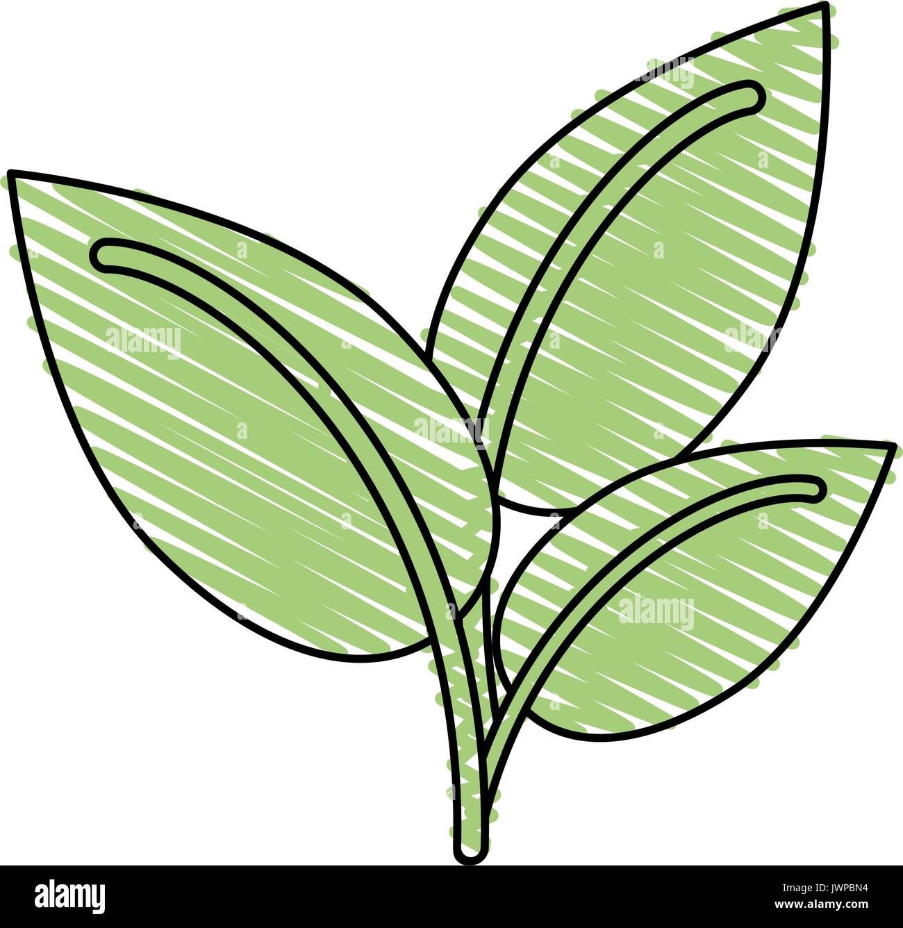 plant leaves icon image Stock Vector Image & Art - Alamy
