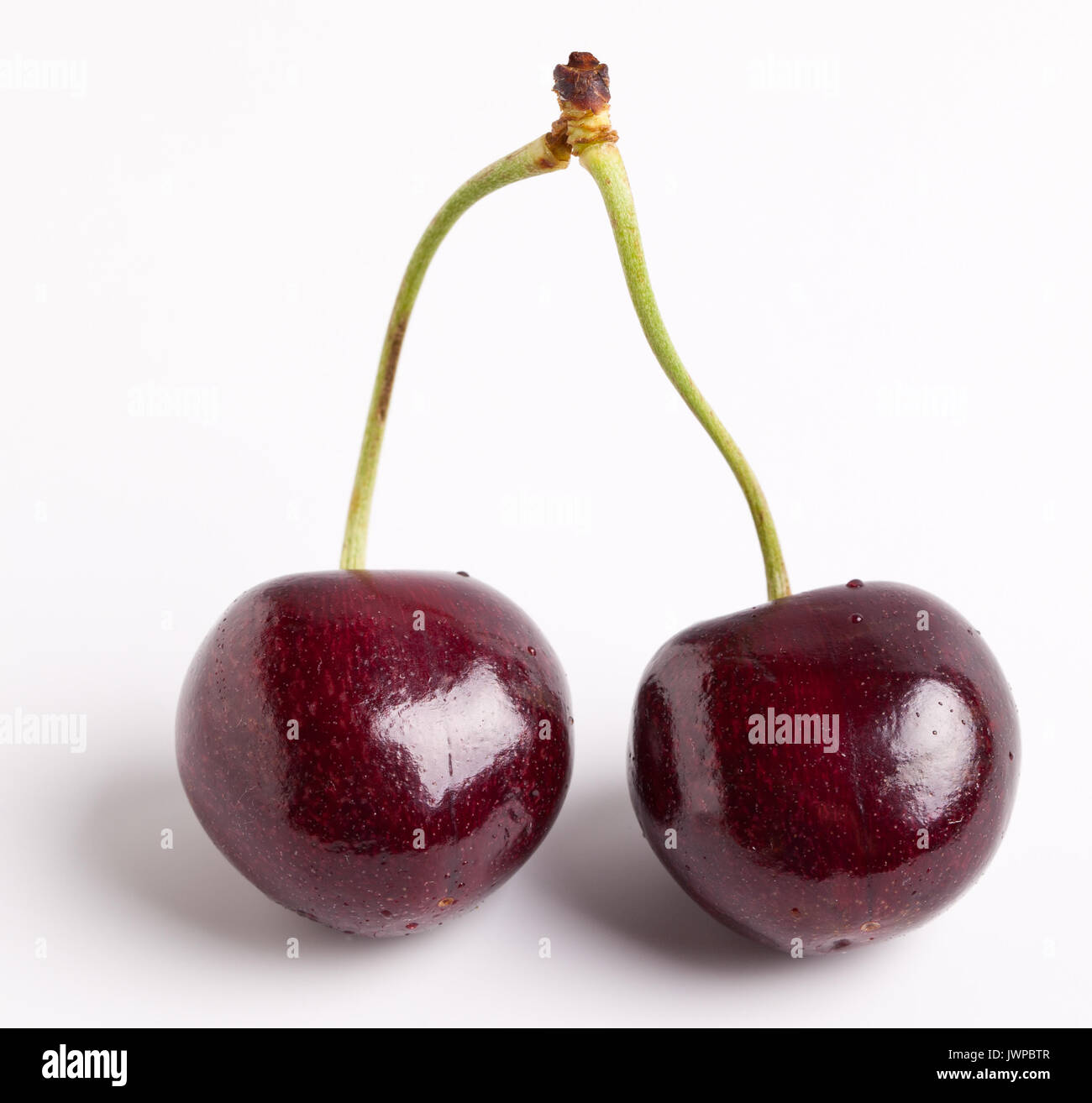 Double Cherry Stem on white background Stock Photo - Alamy