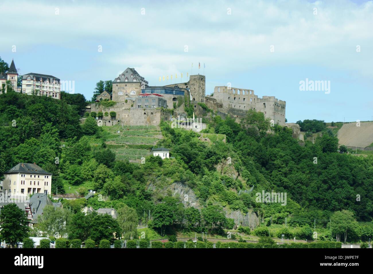 Rheinfels Castle, St Goar, Germany Stock Photo - Alamy