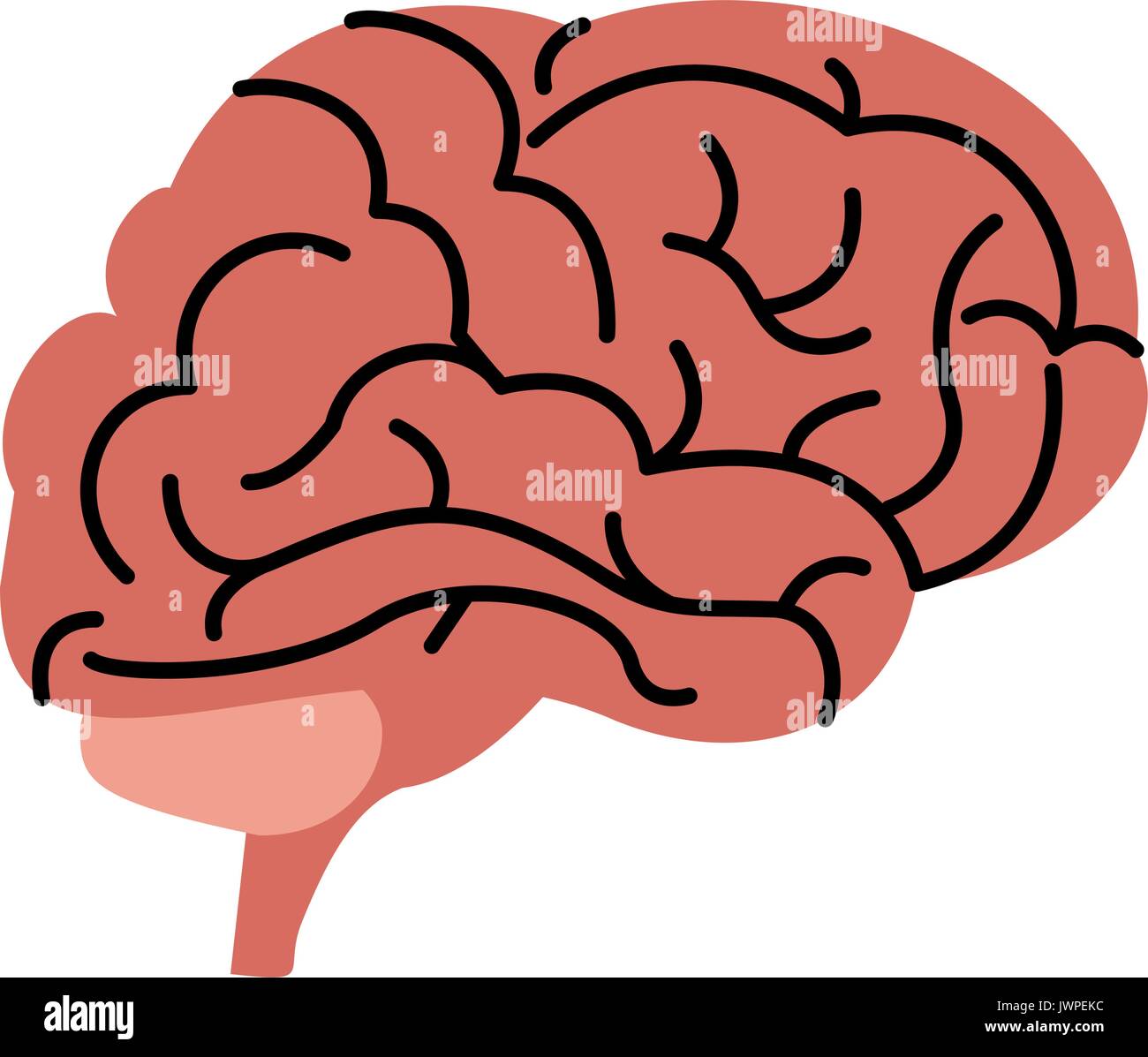 human brain icon image Stock Vector Image & Art - Alamy