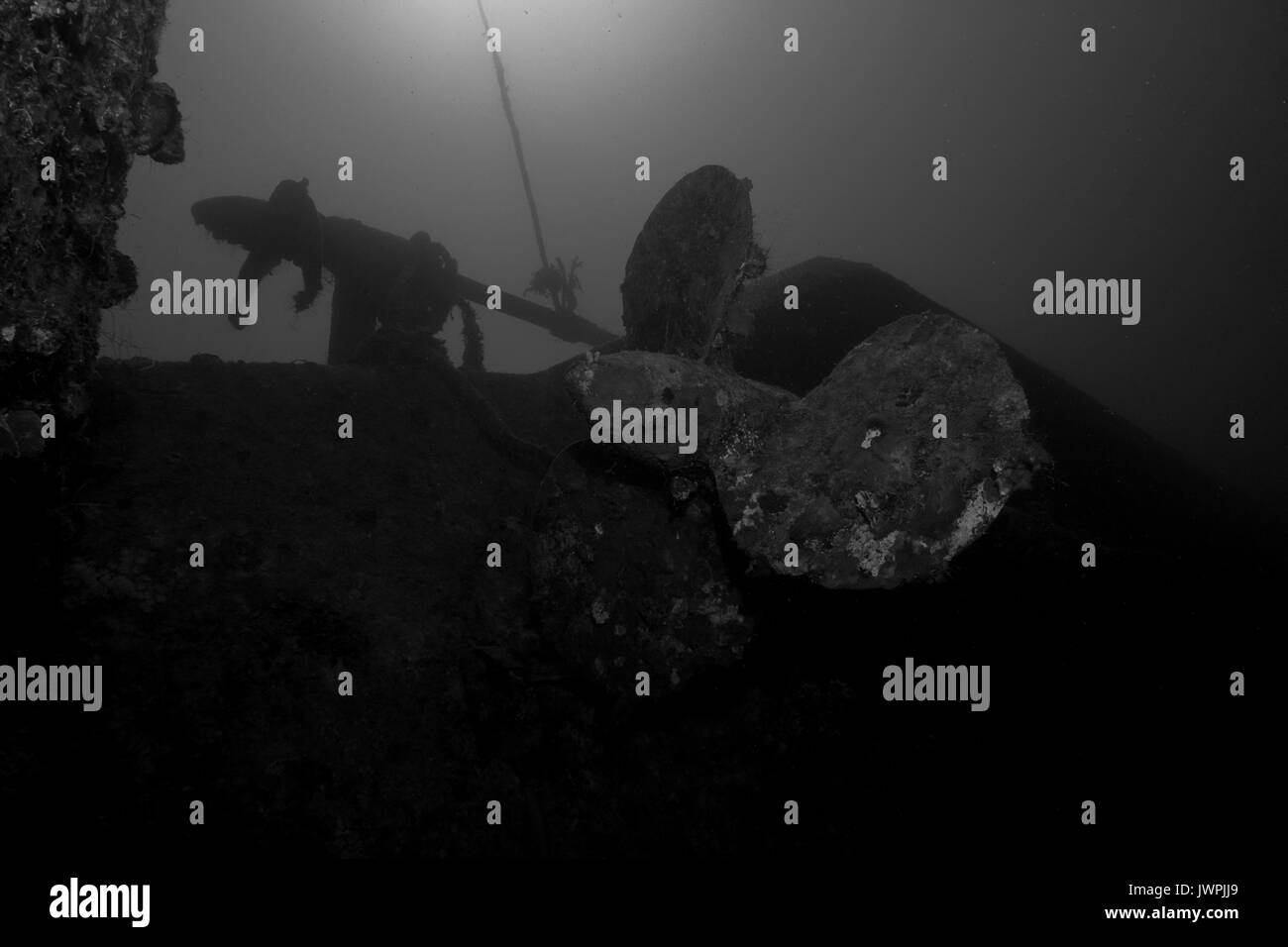 wreck of el mina in hurghada in egypt Stock Photo - Alamy