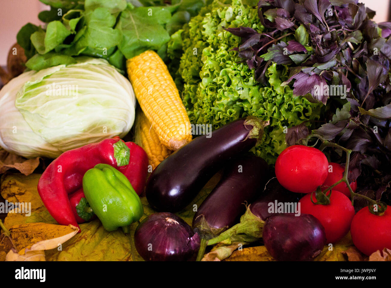 Autumn vegetables: corn, aubergine, tomatoes, pepper, lettuce, basil ...