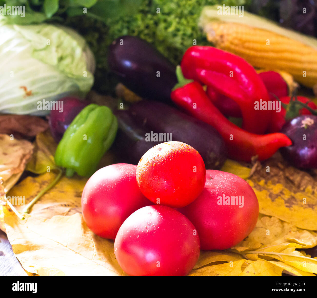Autumn vegetables: corn, aubergine, tomatoes, pepper, lettuce, basil ...