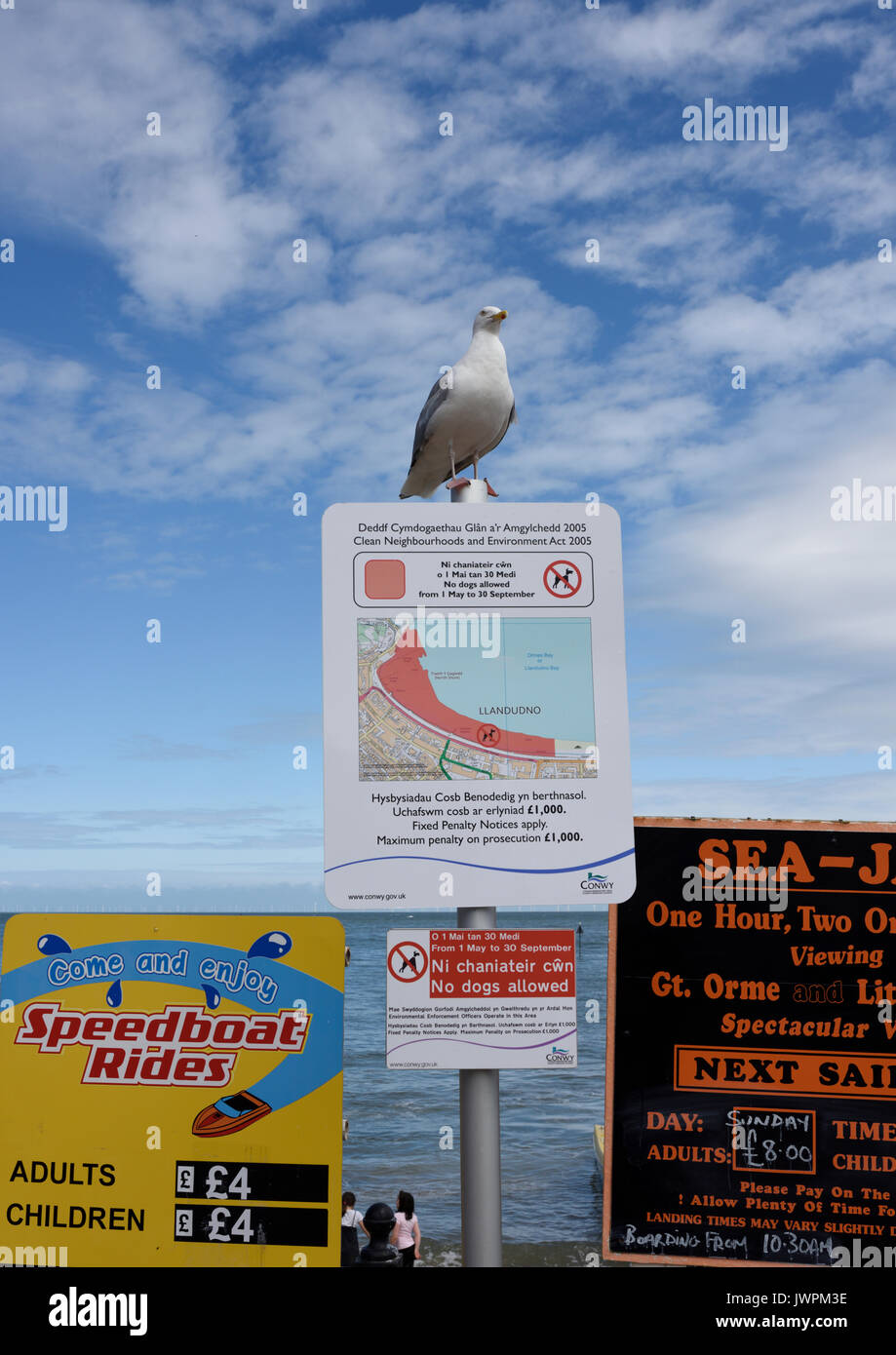 Seagull Warning Sign High Resolution Stock Photography and Images - Alamy