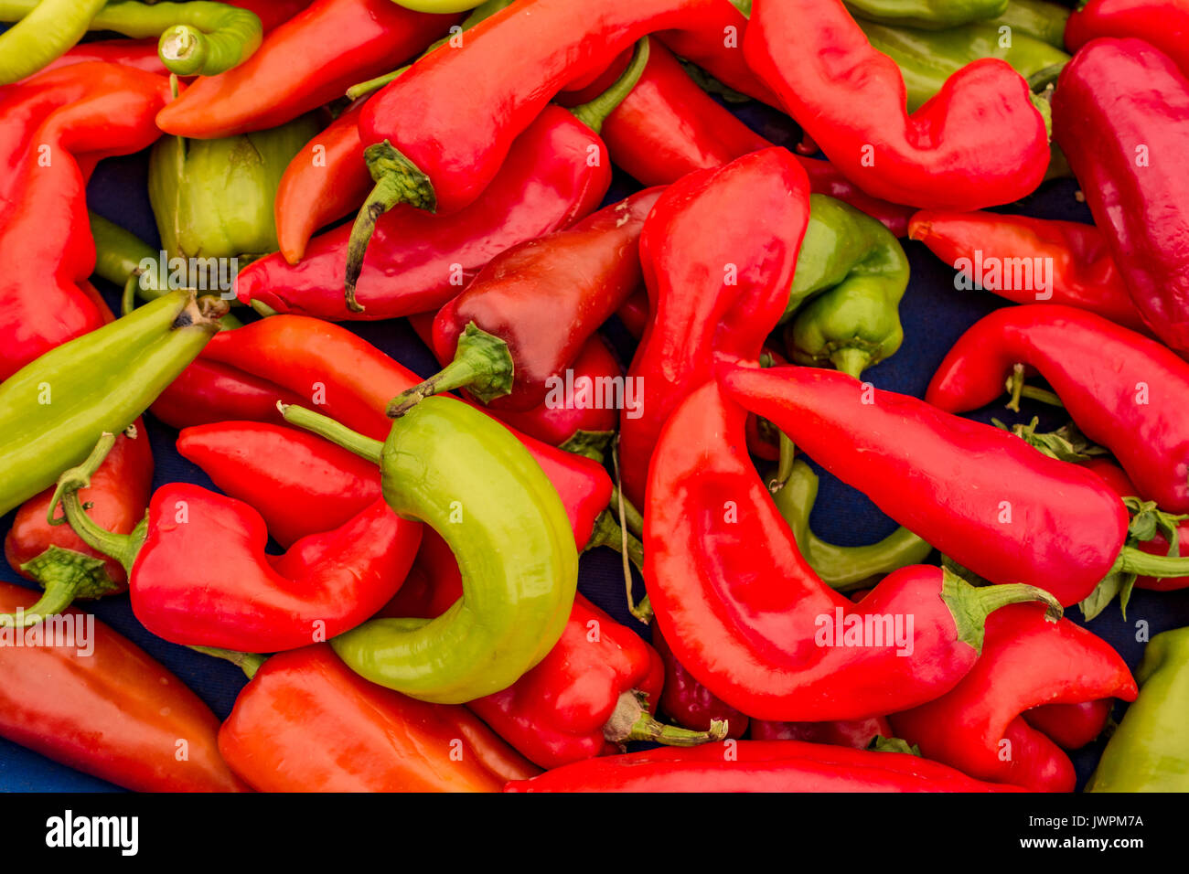 Bin of red and green chili peppers at a vegetable market Stock Photo ...