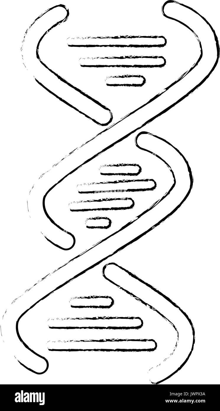 Human dna symbol icon vector illustration graphic design Stock Vector ...