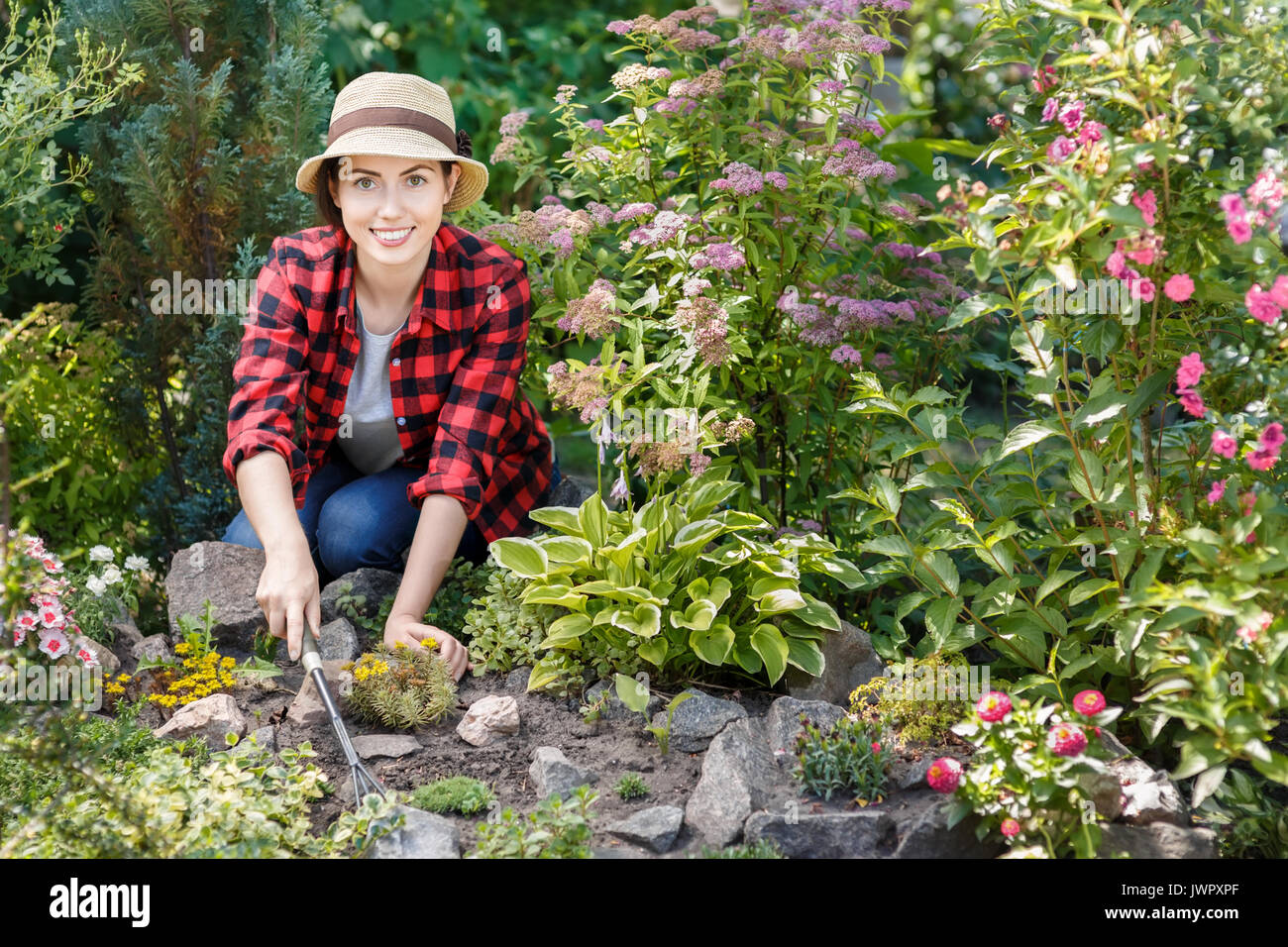 young woman gardener care of flowers in the garden. Girl weeding weeds ...