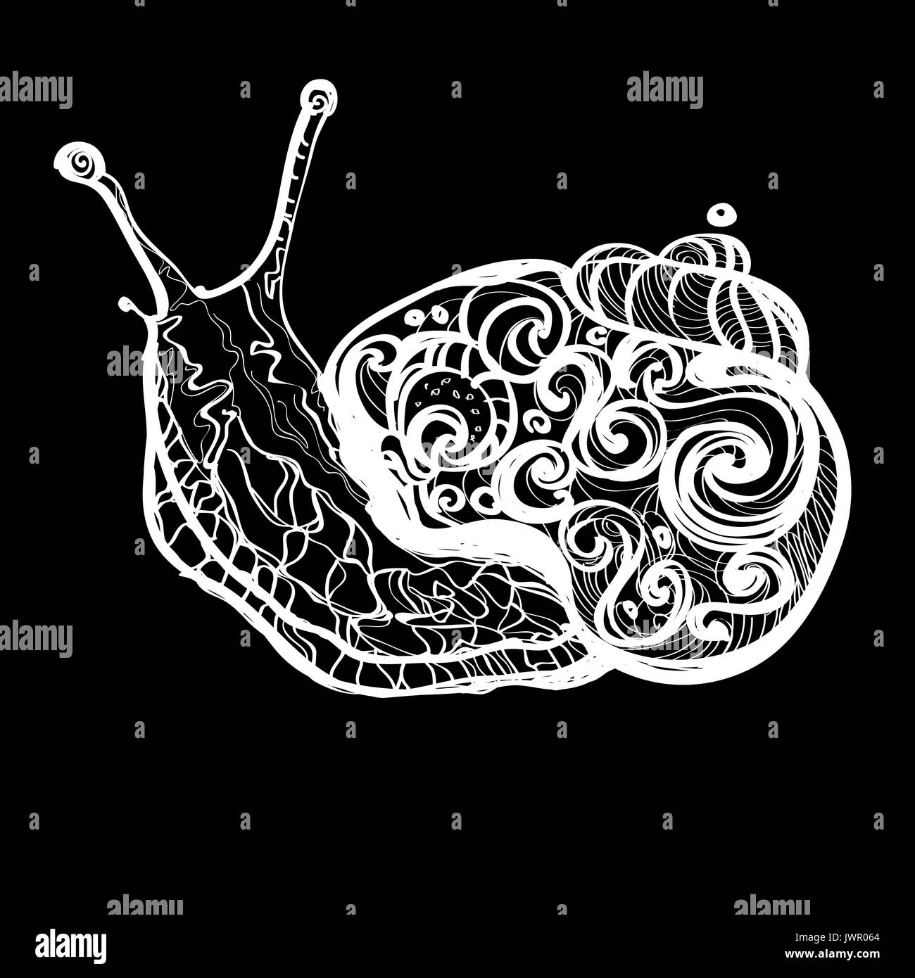 Hand drawn doodle vector outline snail illustration decorated with ...