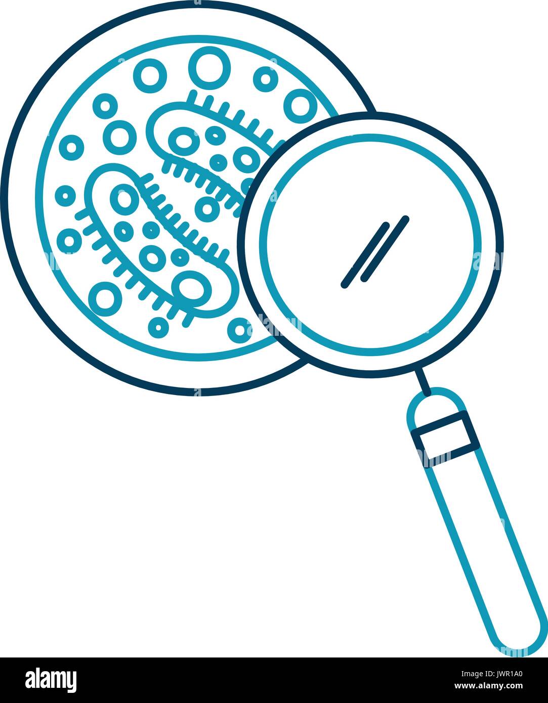 Study of bacteria with magnifying glass Stock Vector Image & Art - Alamy