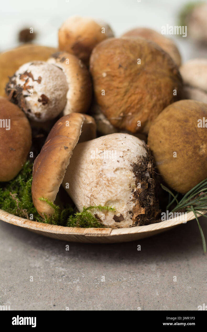 Tasty food - fresh porcini boletus oak muchrooms, high quality, ready ...