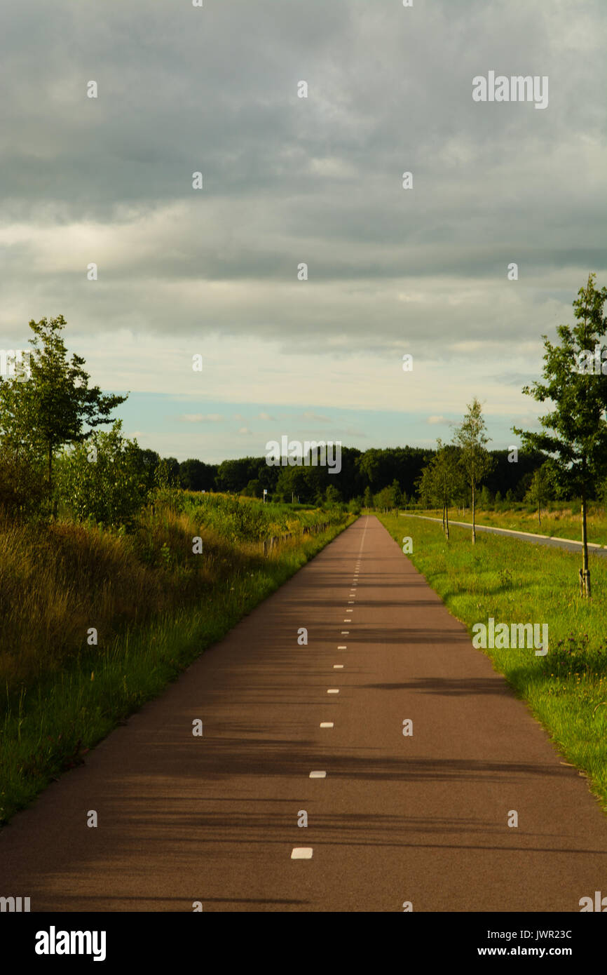 Safe and cheap transportation - network of bicycle paths in the ...