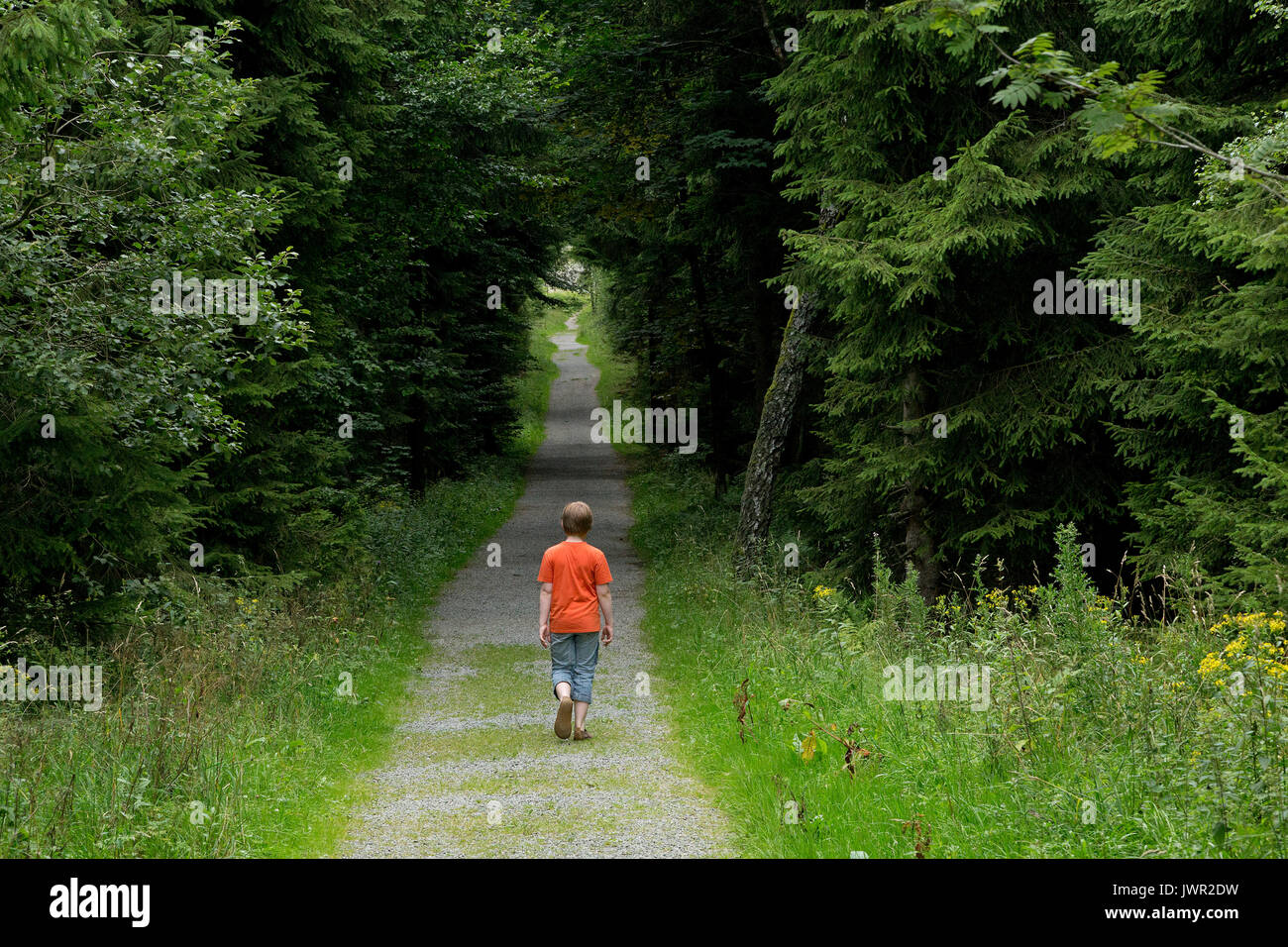boy walking along a forest path Stock Photo - Alamy