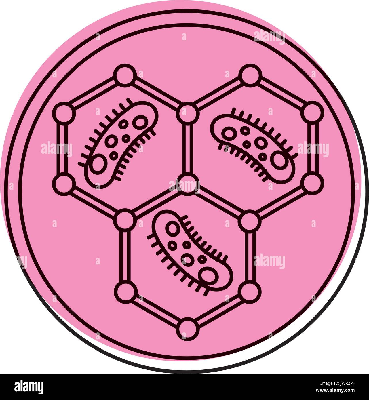 Study of bacteria icon Stock Vector Image & Art - Alamy