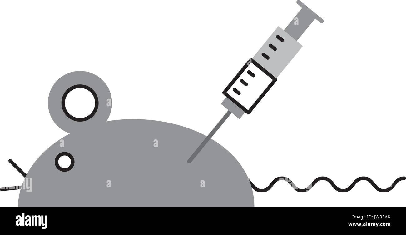 Lab Mice Injection Intraperitoneal Injection Photos And Images