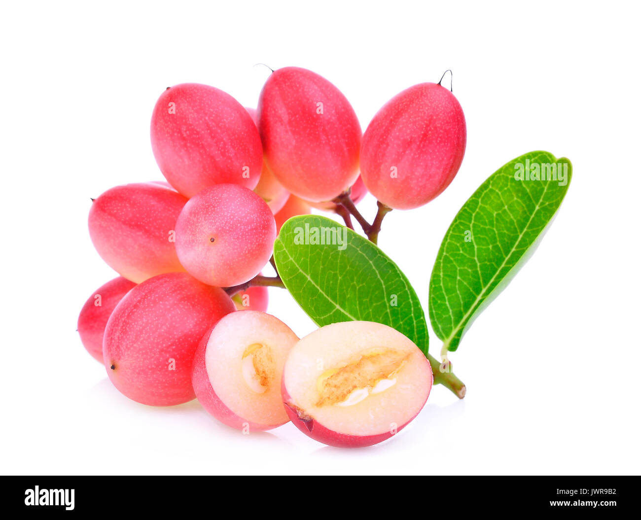 karanda or carunda tropical fruit isolated on white background Stock ...