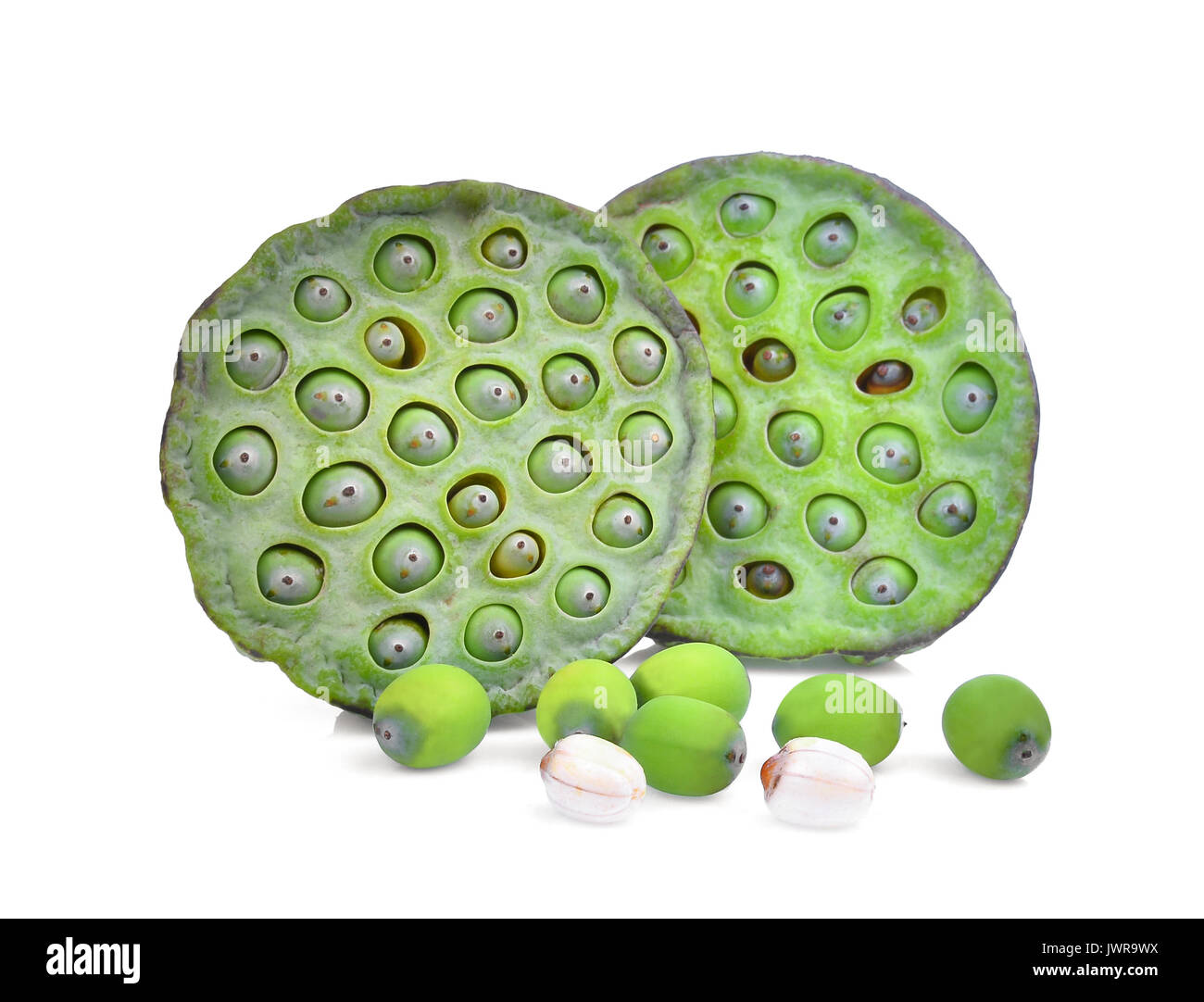 lotus pods and seeds isolated on white background Stock Photo - Alamy
