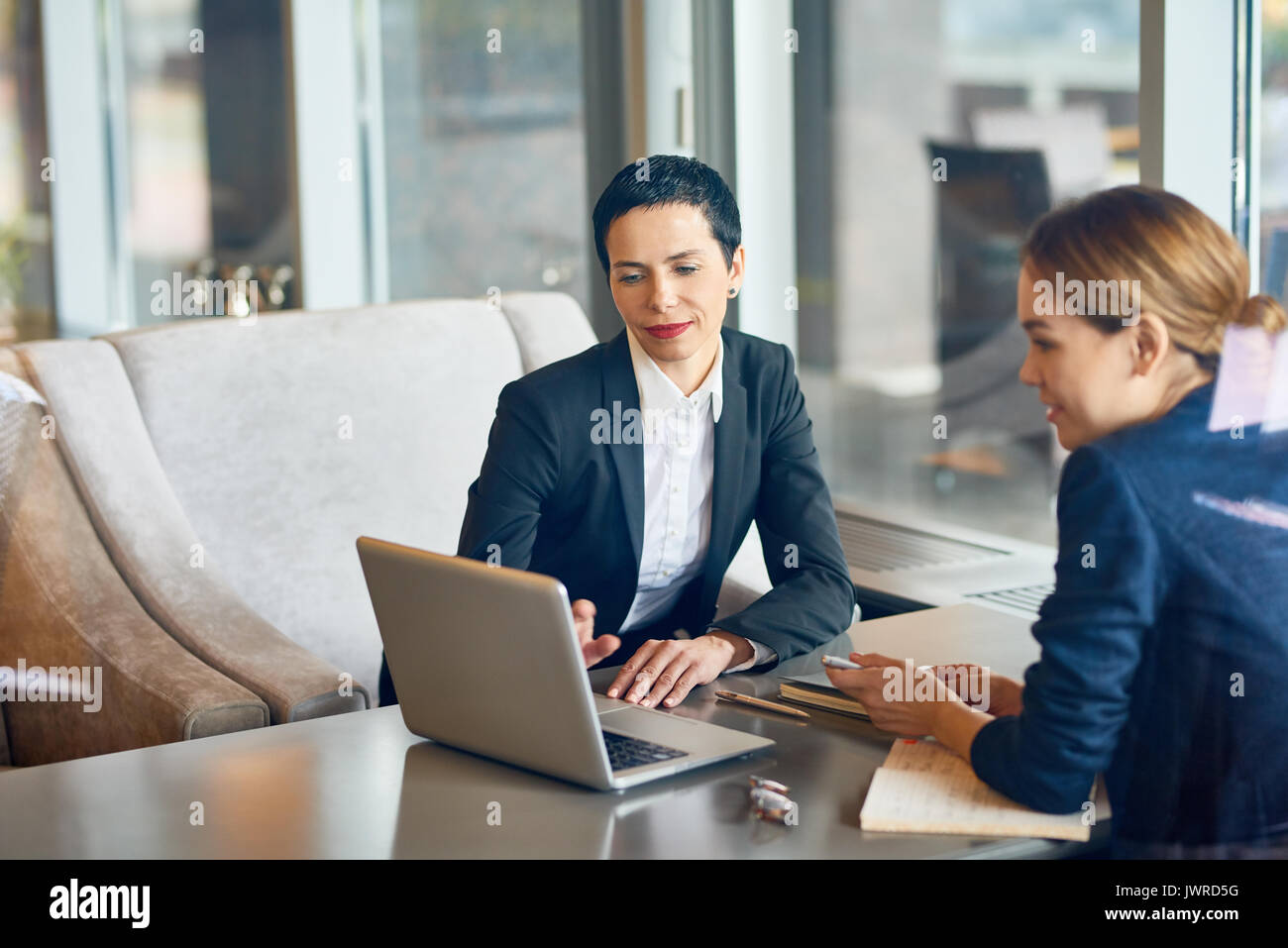 Pretty colleagues gathered together at lovely cafe with panoramic ...