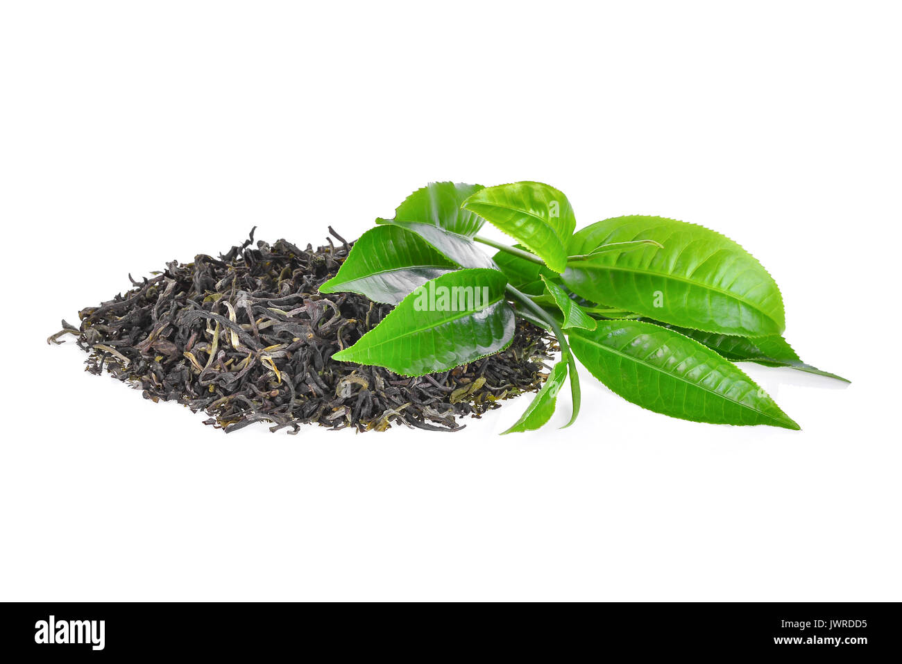 pile of dried green tea with fresh green tea leaves isolated on white ...