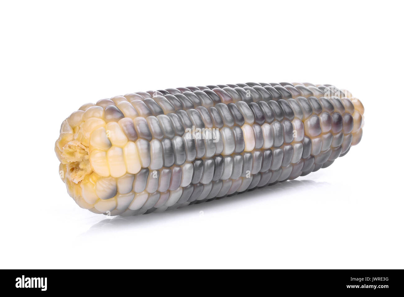 single waxy corn, tropical plants isolated on white background Stock ...