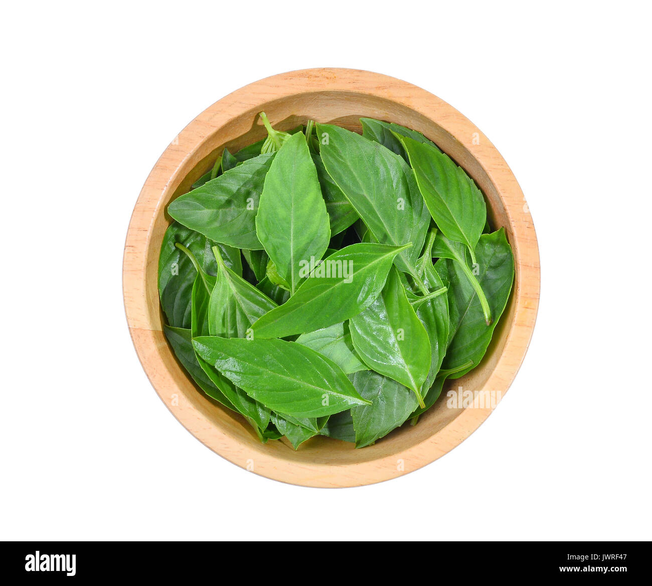 top view of asia sweet basil leaves in wooden bowl isolated on white ...