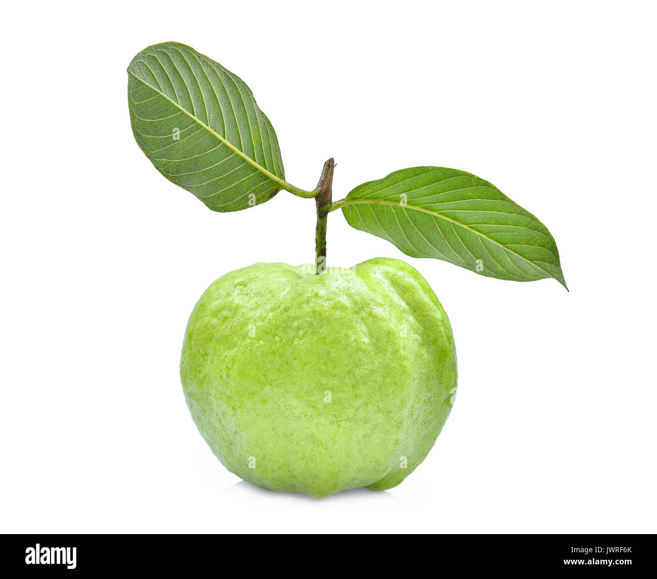 single fresh guava fruit with green leaf isolated on white background ...