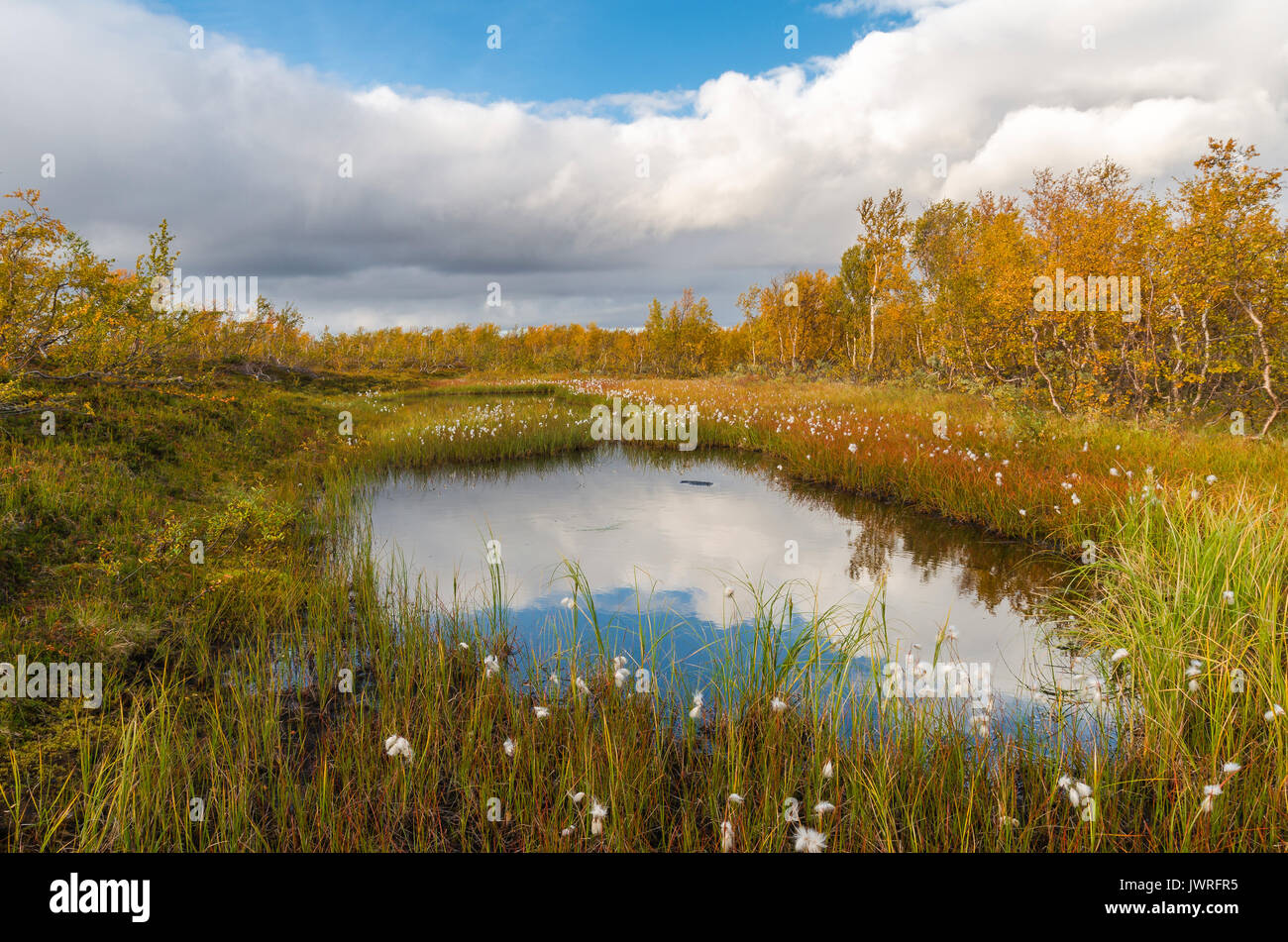 River with fall colors hi-res stock photography and images - Alamy