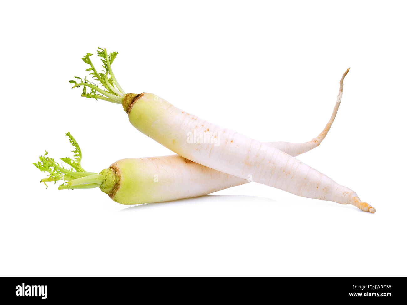two fresh daikon radish isolated on the white background Stock Photo ...