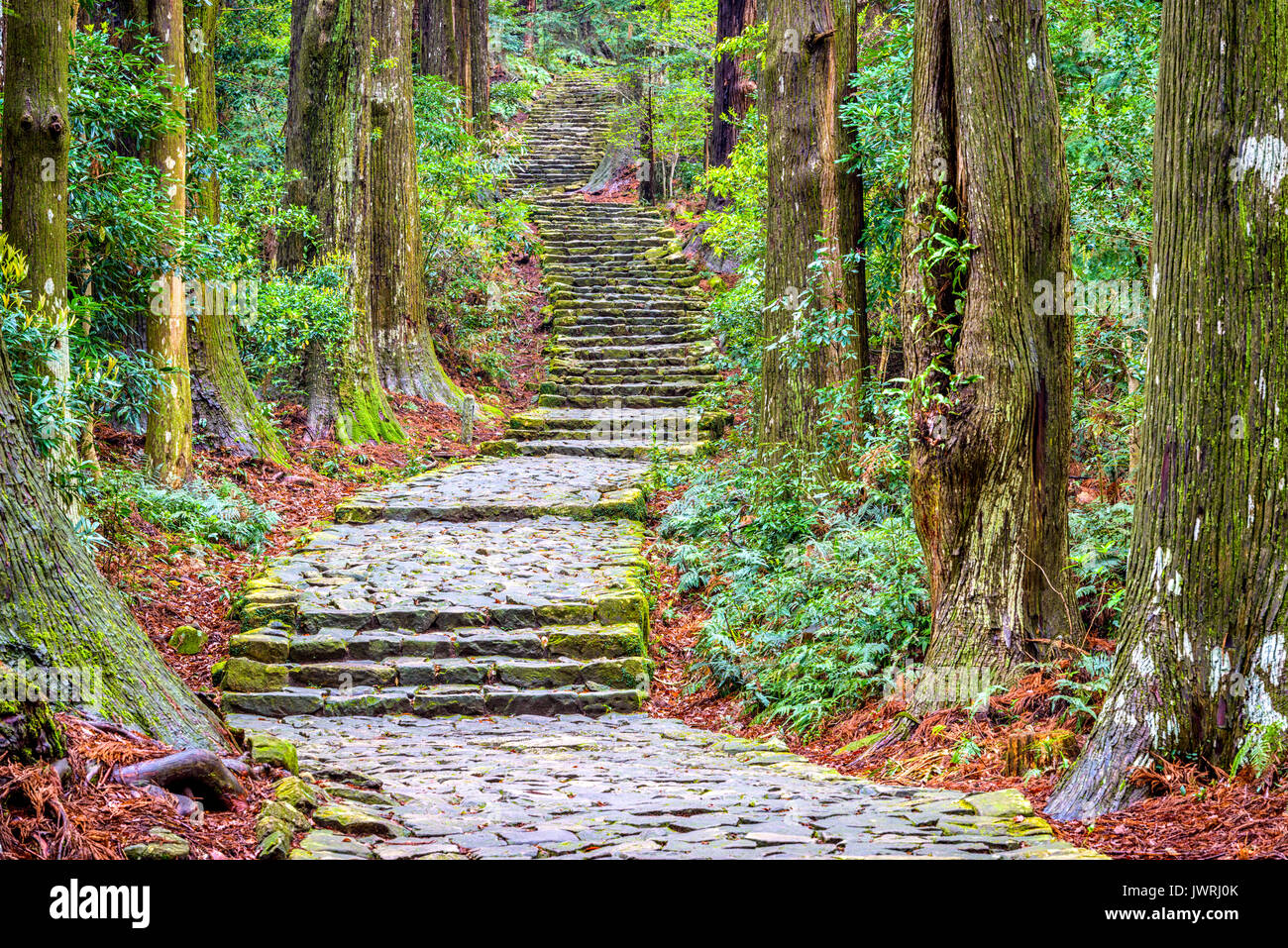 The Kumano Kodo trail, a sacred trail in Nachi, Wakayama, Japan Stock ...