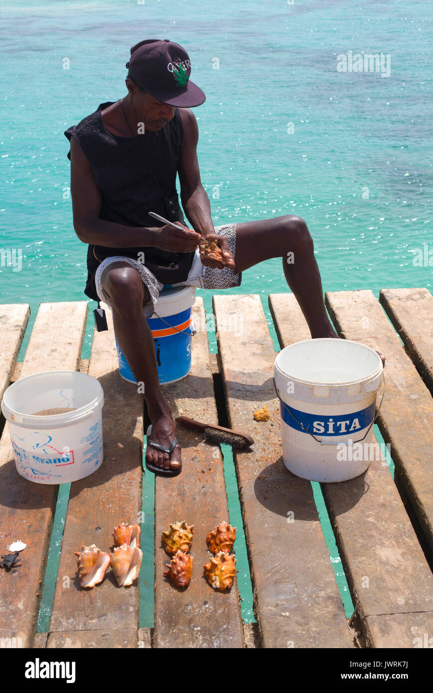 Cleaning shells on Sal beach, Cape Verde Stock Photo - Alamy