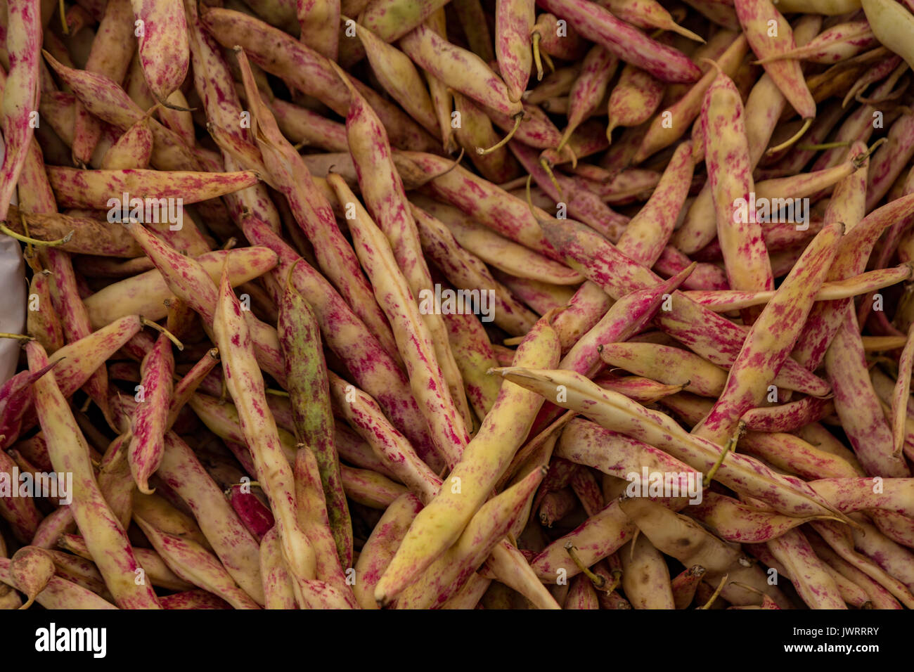 Rosecoco beans hi-res stock photography and images - Alamy