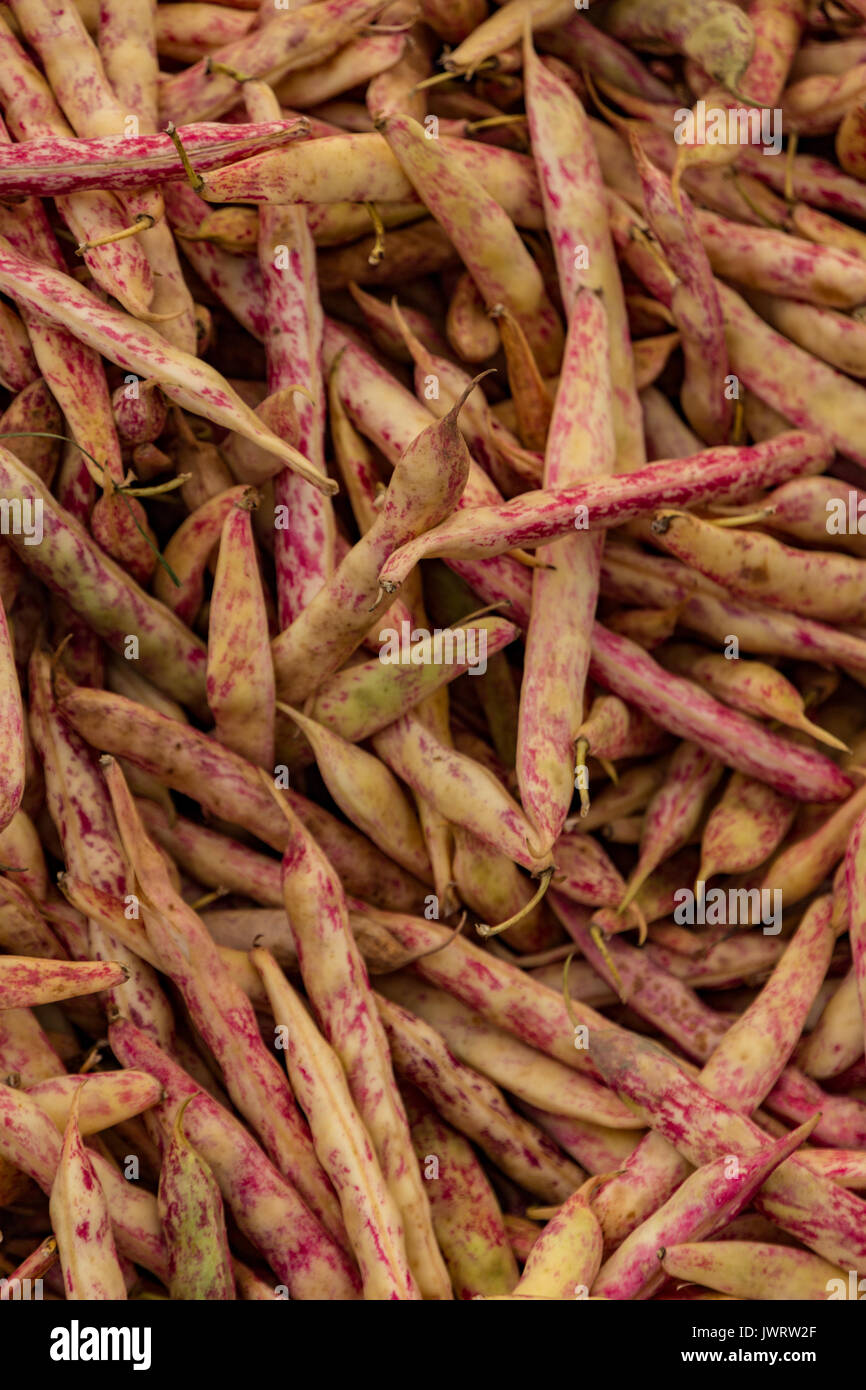 Rosecoco beans hi-res stock photography and images - Alamy