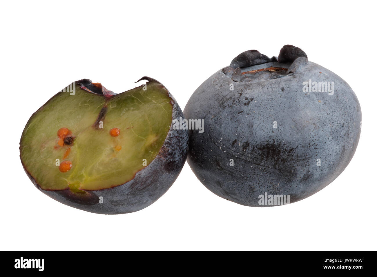 Ripe and cut blueberry isolated on a white background Stock Photo - Alamy