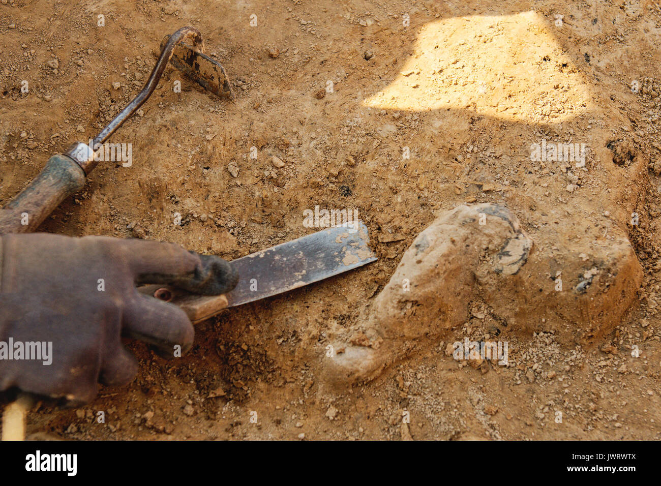 Prehistoric tools archaeologist hi-res stock photography and images - Alamy