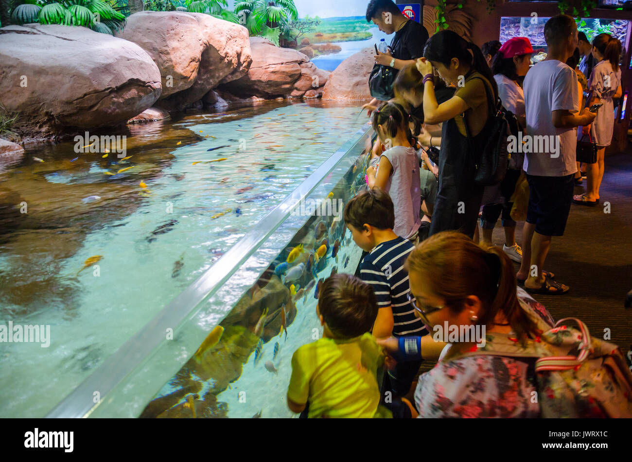 Families crowd around and watch fish in a tank at Shanghai Aquarium ...