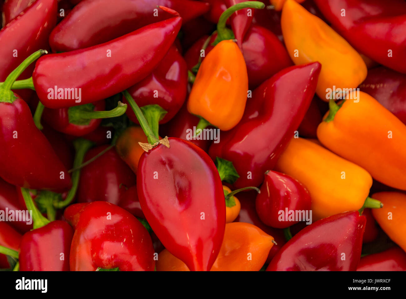 A table is filled with red and yellow poblano peppers for sale at a ...