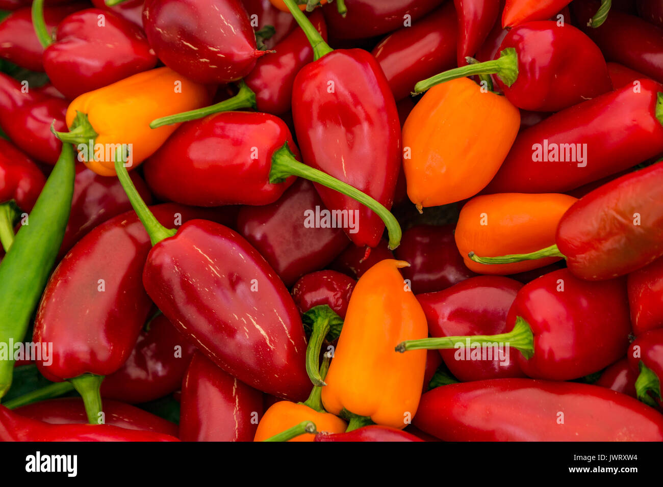 A table is filled with red and yellow poblano peppers for sale at a ...