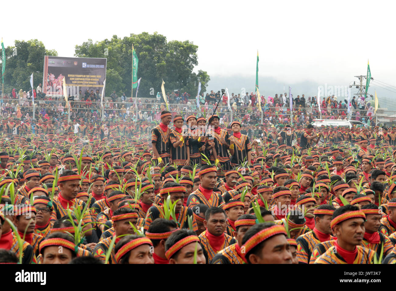 Gayo lues hi-res stock photography and images - Alamy